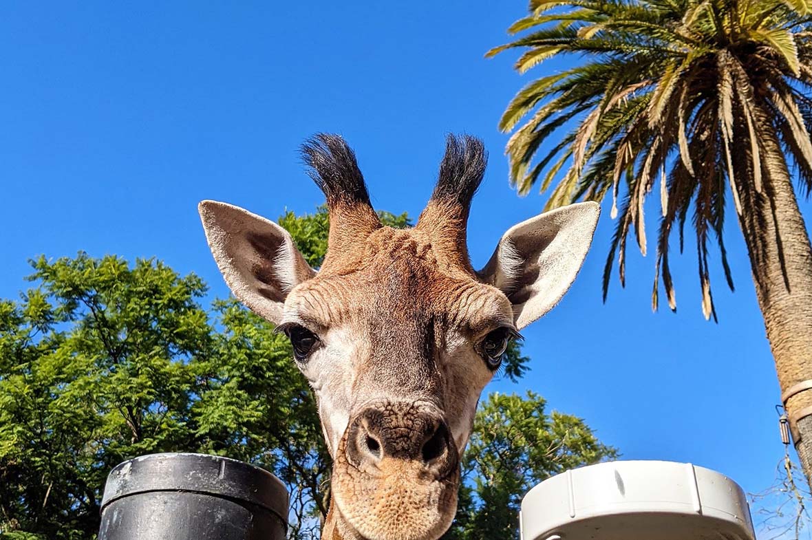 Family-Friendly Adelaide: Best Attractions for Kids – Trip Plans